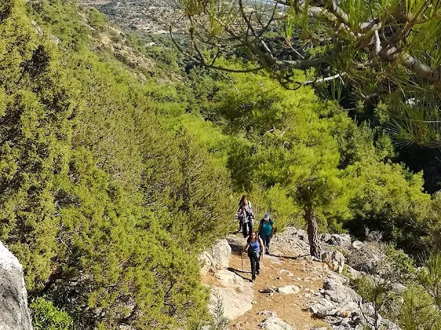 Hike through the Katsikandaras Gorge - Discover Crete