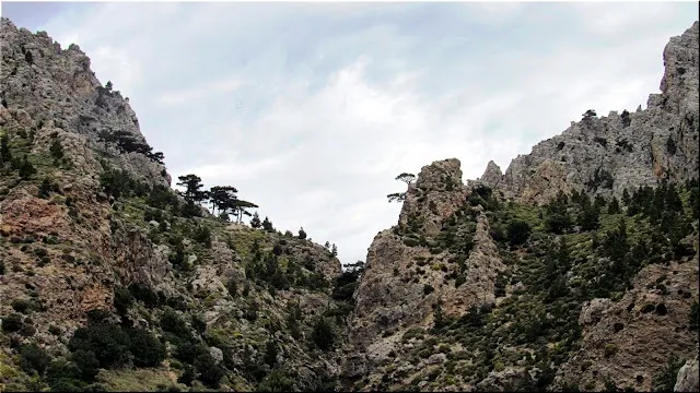Hiking the Oreino Gorge (Butterfly Gorge) - Discover Crete