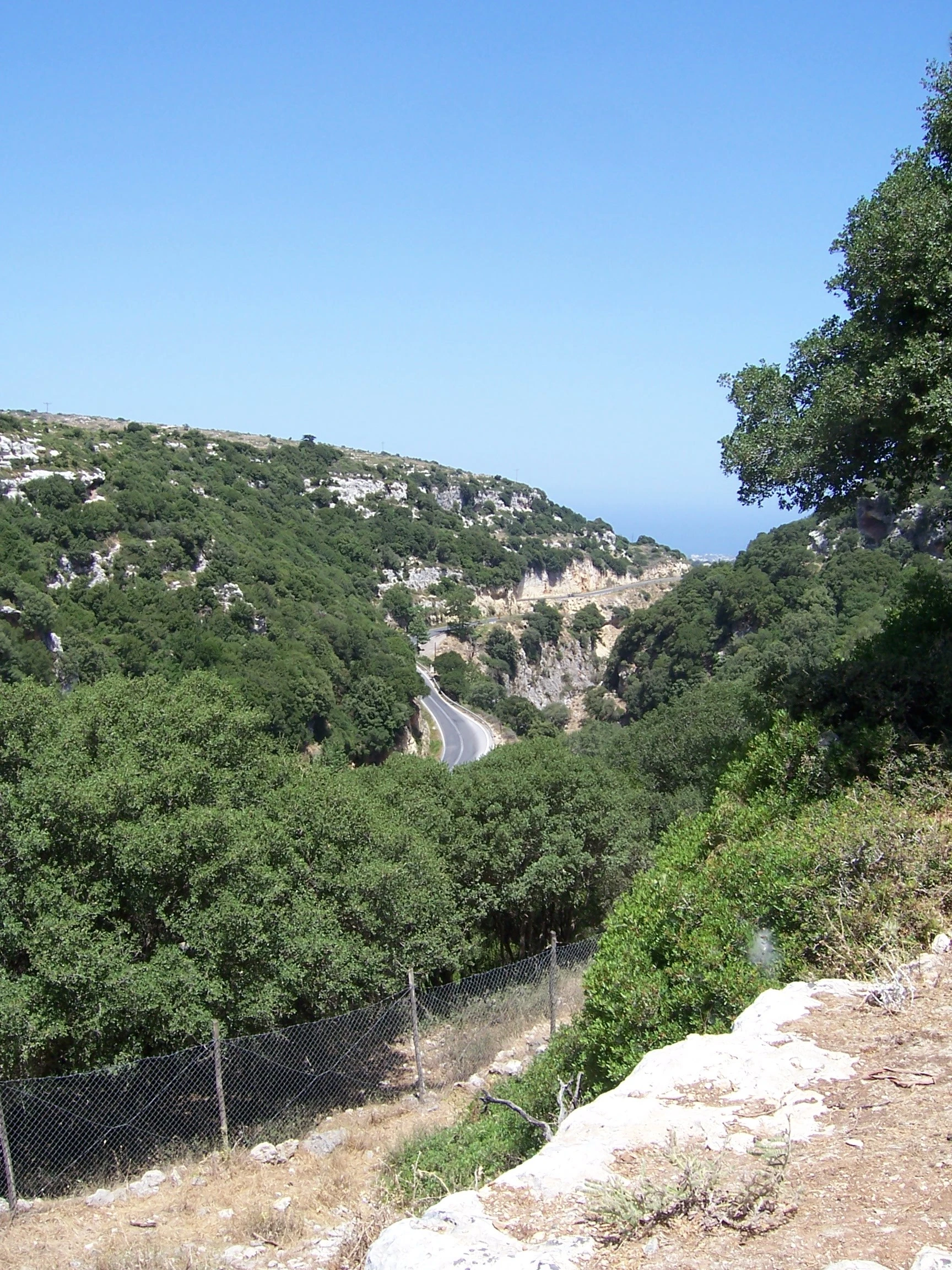 Arkadi Gorge - Discover Crete