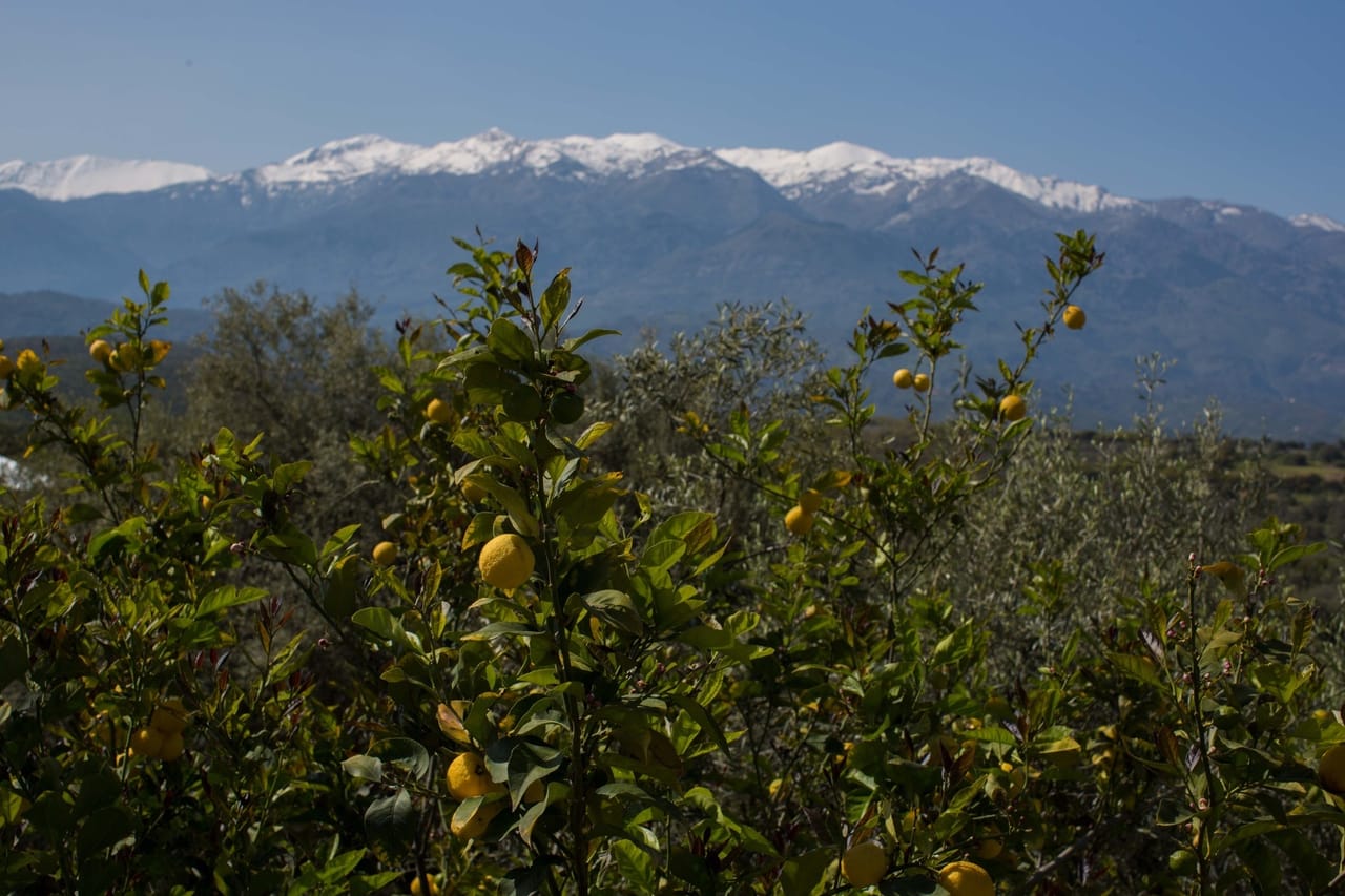 Amazonas Park - Discover Crete