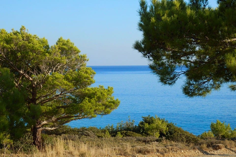 The Enchantment of Chrissi Island, also Known as Gaidouronisi ...