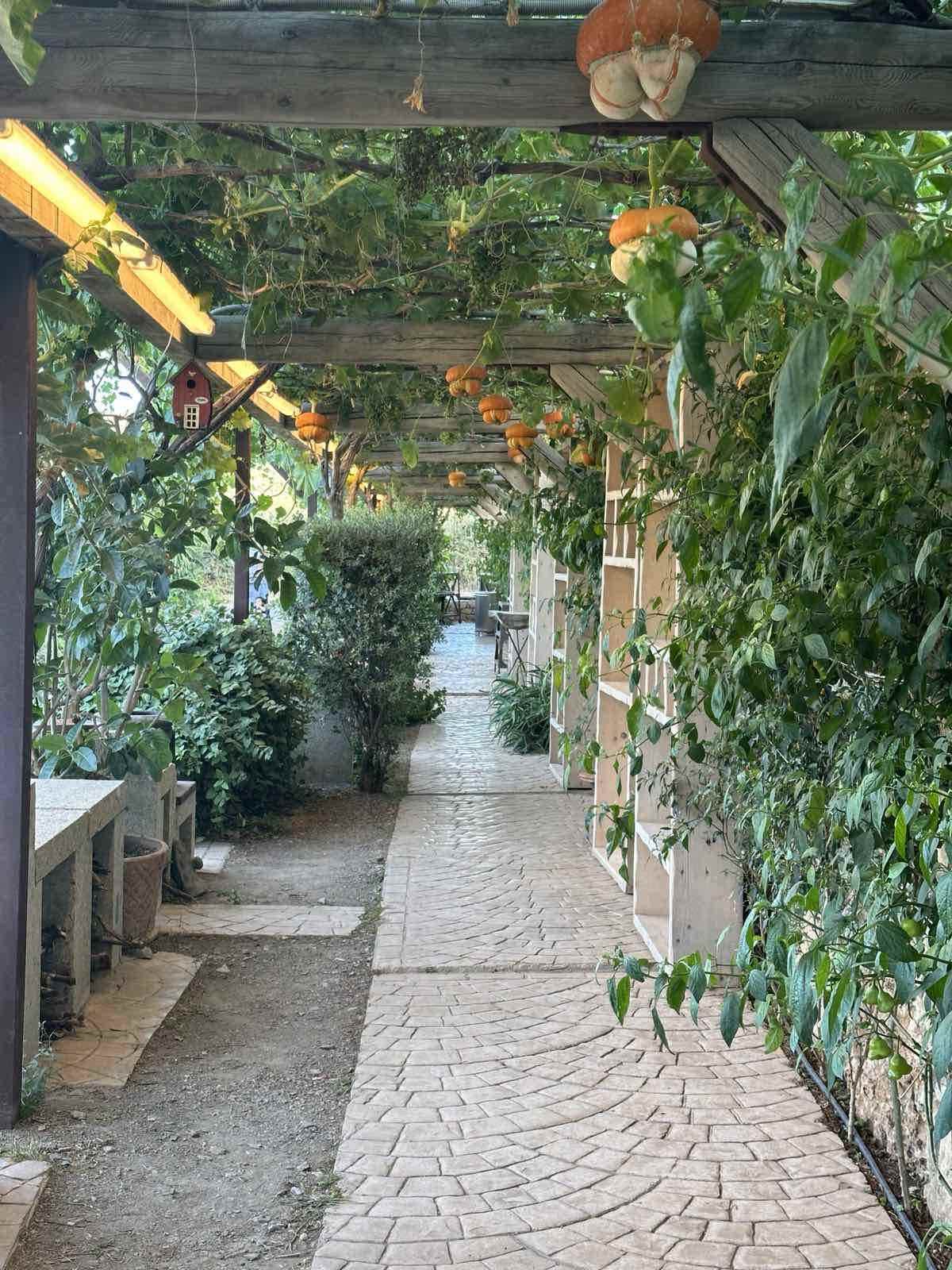 Gramvousa Restaurant: The essential stop in Kalyviani Kissamos ...