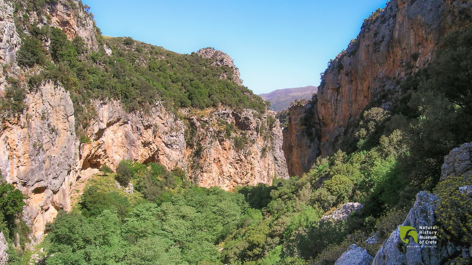 Το υπέροχο φαράγγι της Πατσού - Discover Crete