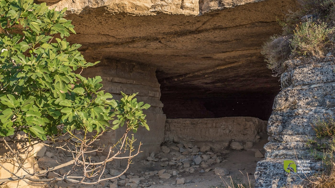 Small Labyrinth Cave - Discover Crete
