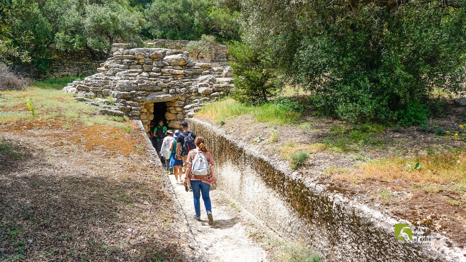 Exploring the Enchanting Fourni Forest: Hiking Amidst Olive Trees and ...