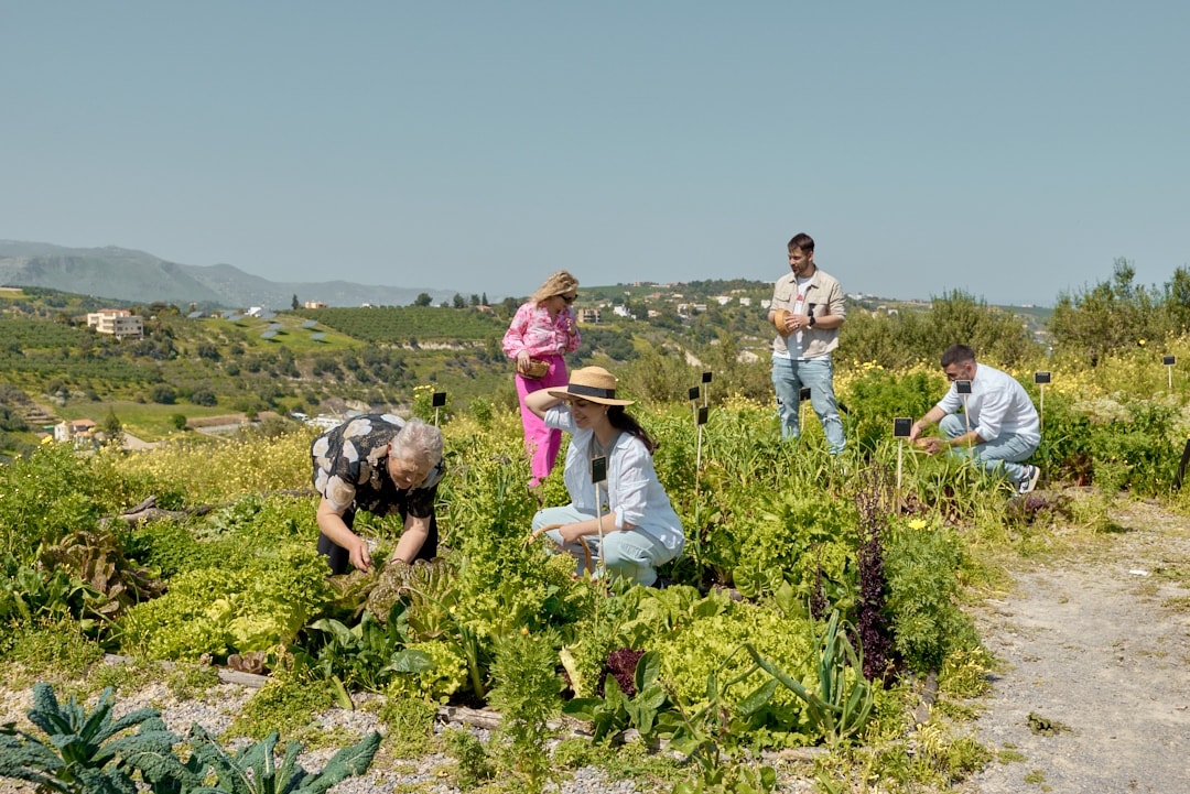 Kokkiadis Honey Farm: Tour of the Regenerative Vegetable Garden & Salad ...