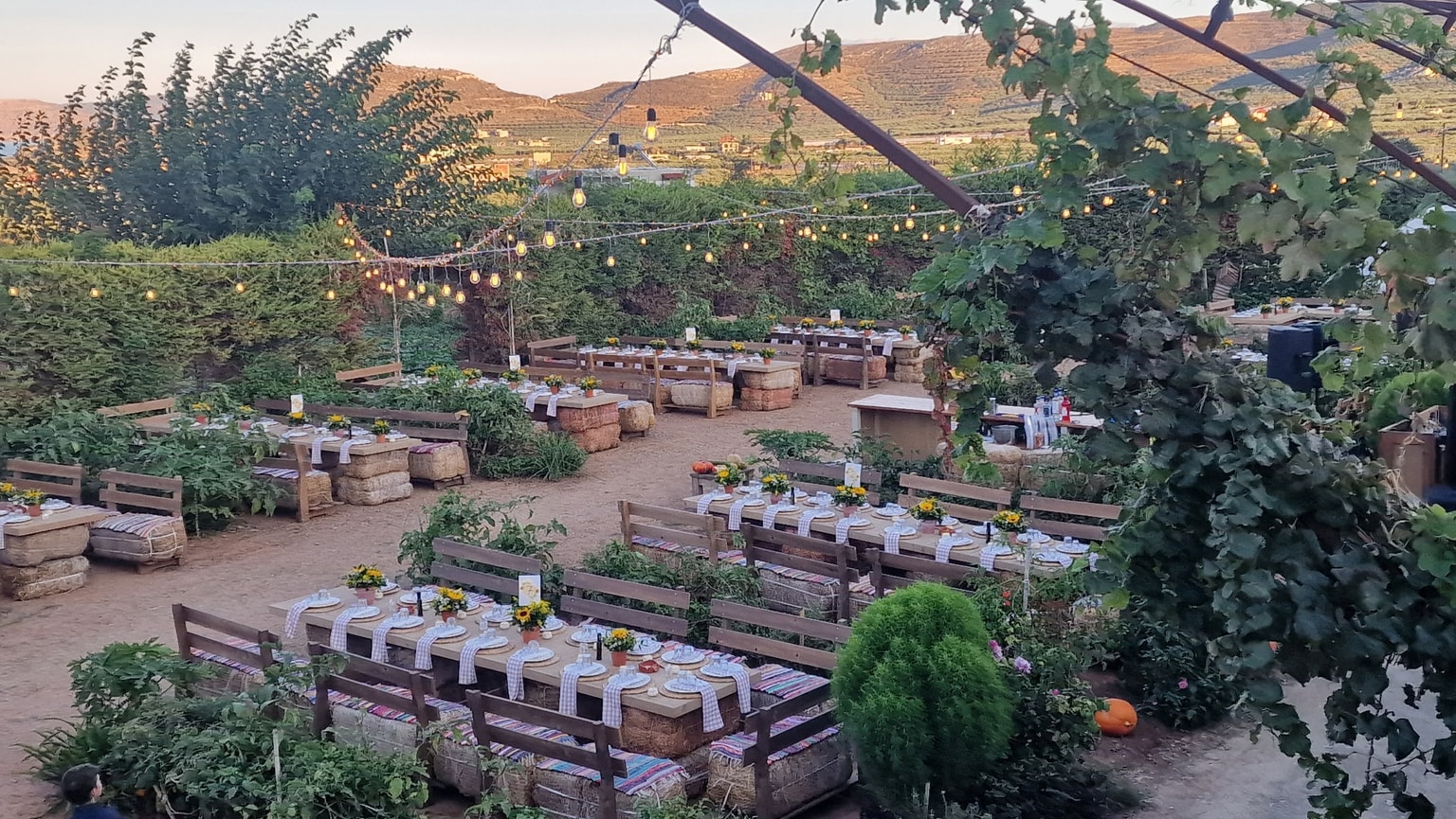 Gramvousa Restaurant: The essential stop in Kalyviani Kissamos ...