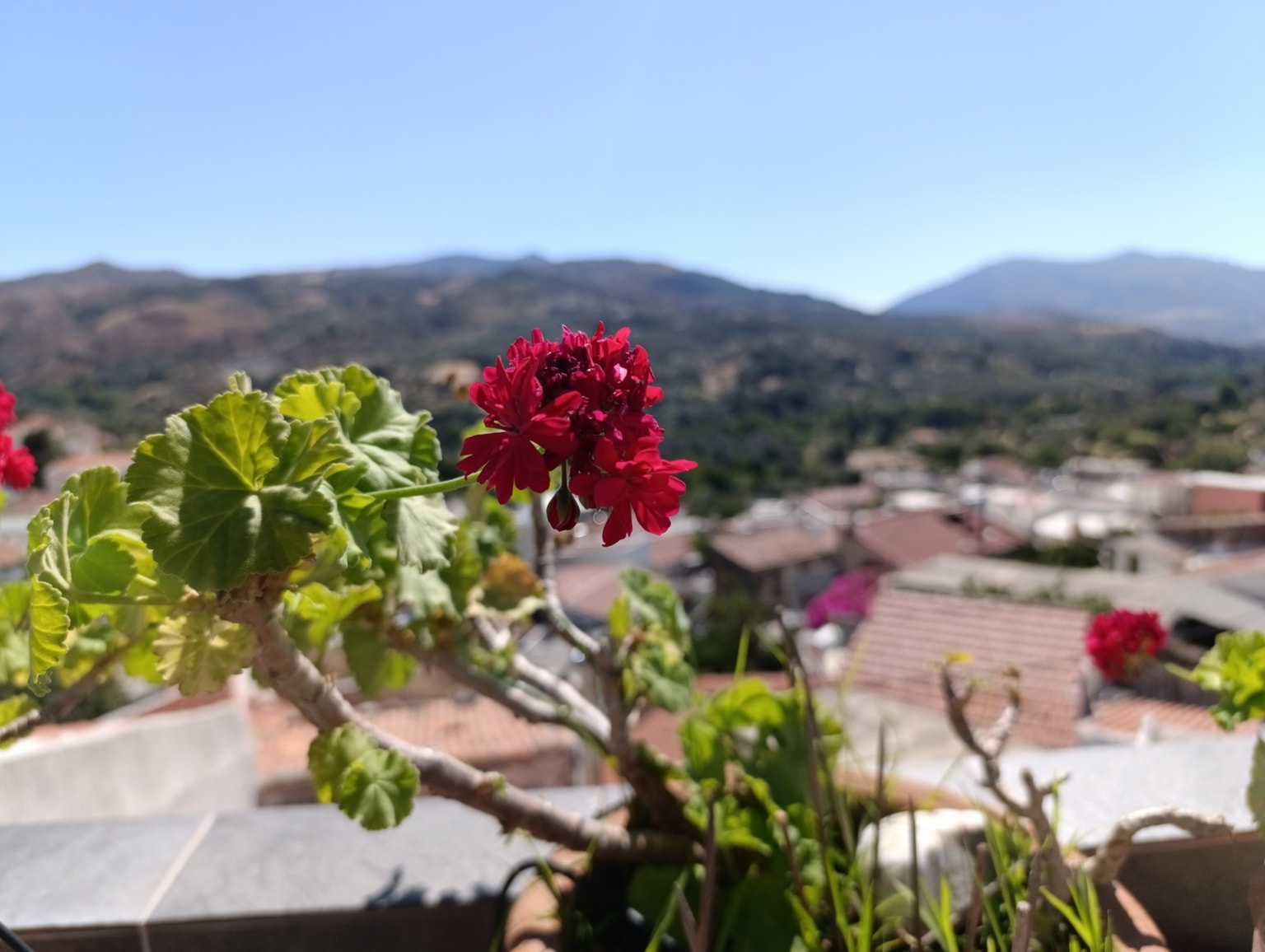 Spili: A Charming Village with Iconic Fountains - Discover Crete