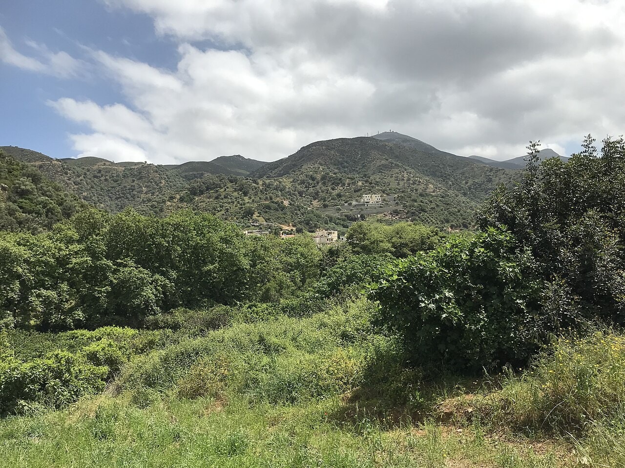 Fodele: The Village of D Theotokopoulos (El Greco) - Discover Crete