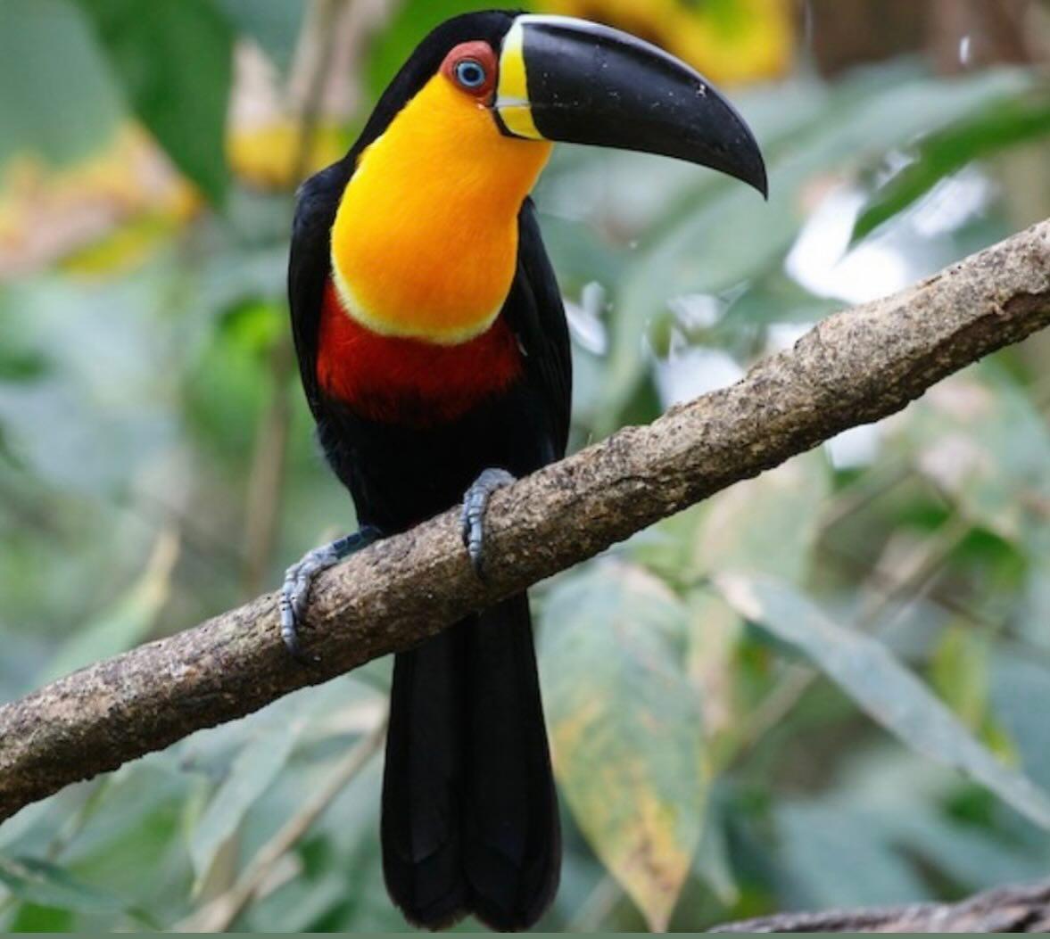 Amazonas Park - Discover Crete