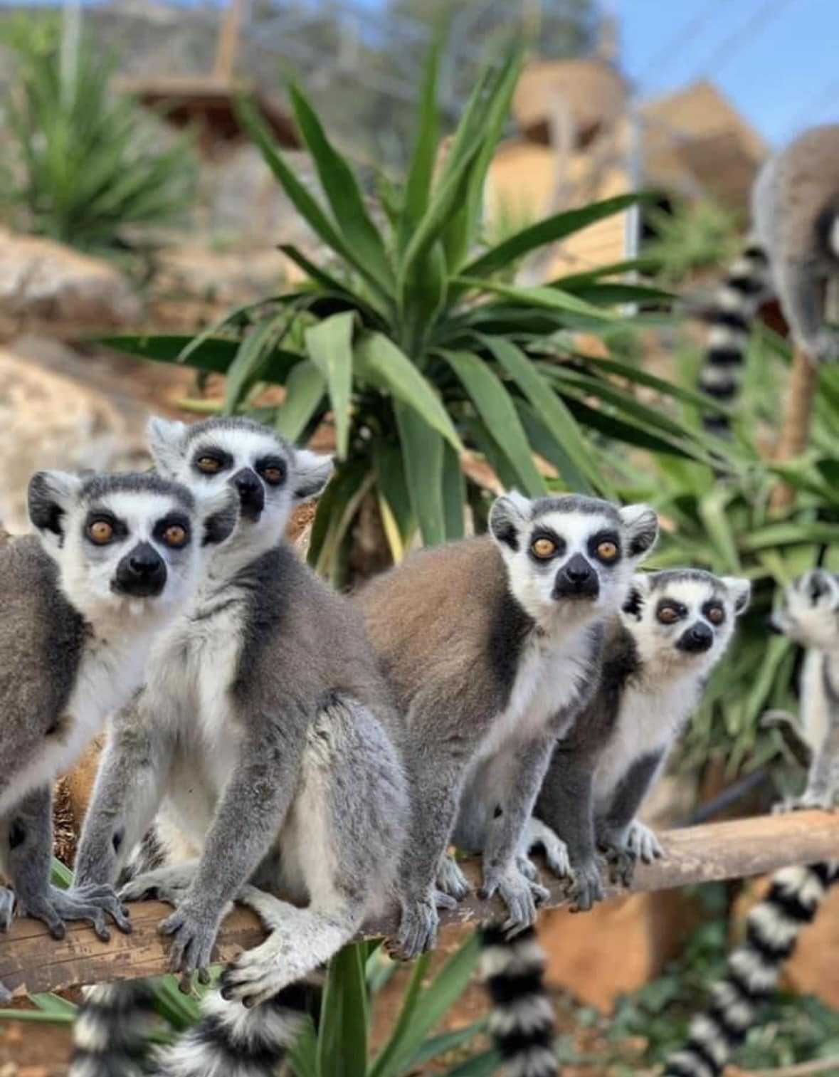 Amazonas Park - Discover Crete