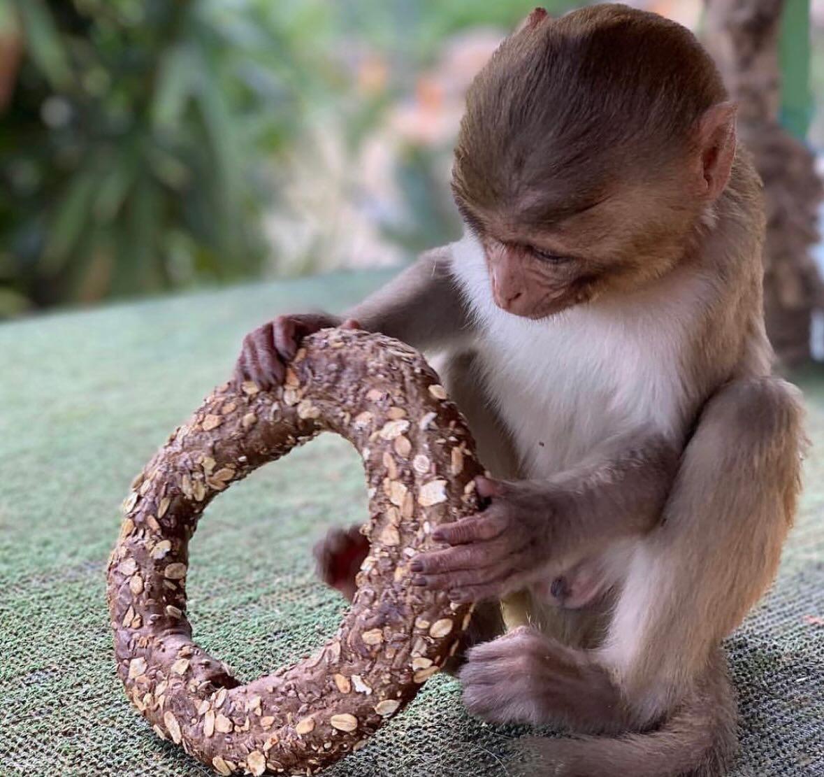 Amazonas Park - Discover Crete