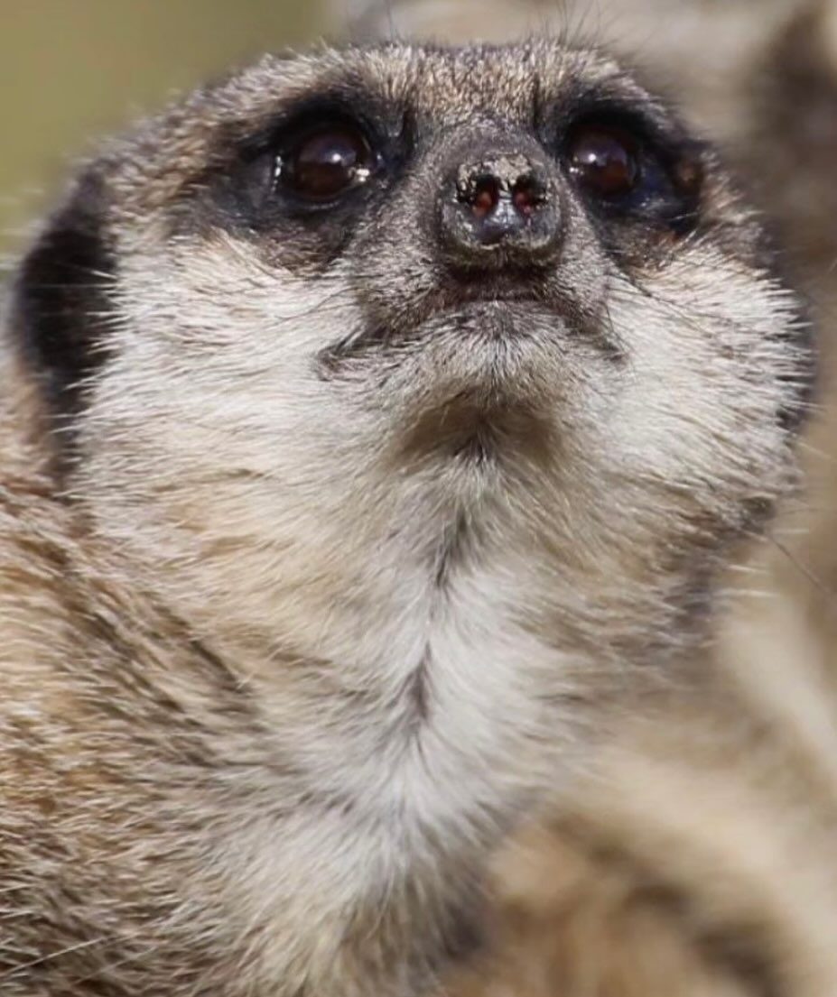 Amazonas Park - Discover Crete