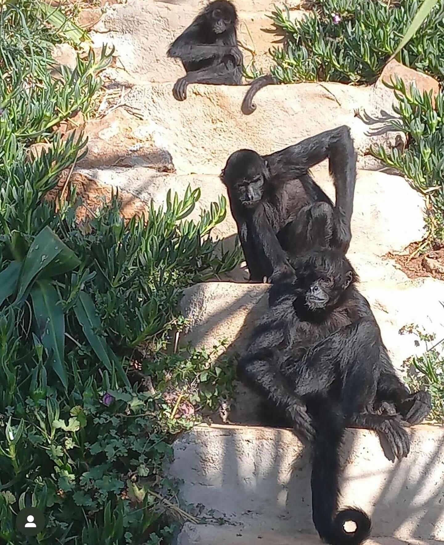 Amazonas Park - Discover Crete