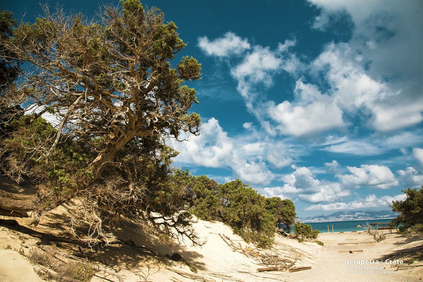 The Enchantment of Chrissi Island, also Known as Gaidouronisi ...