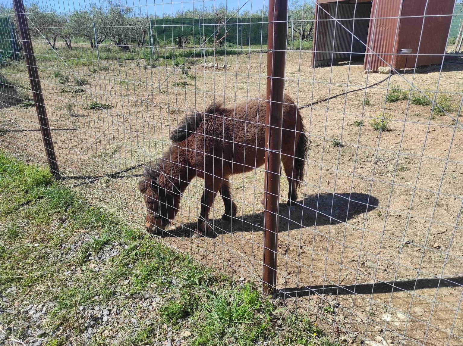 Cretan Animal Park - Discover Crete