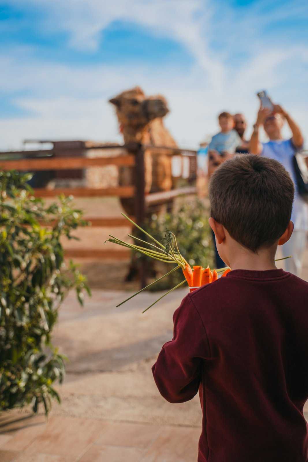 Cretan Animal Park - Discover Crete