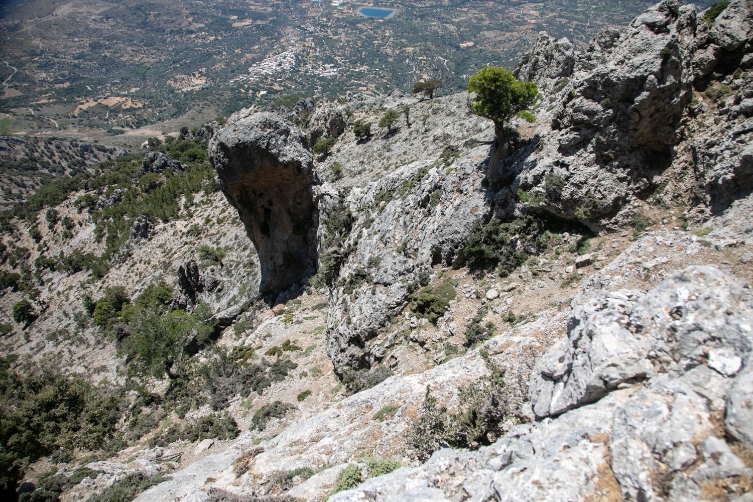 Helidones Prinos Forest - Discover Crete