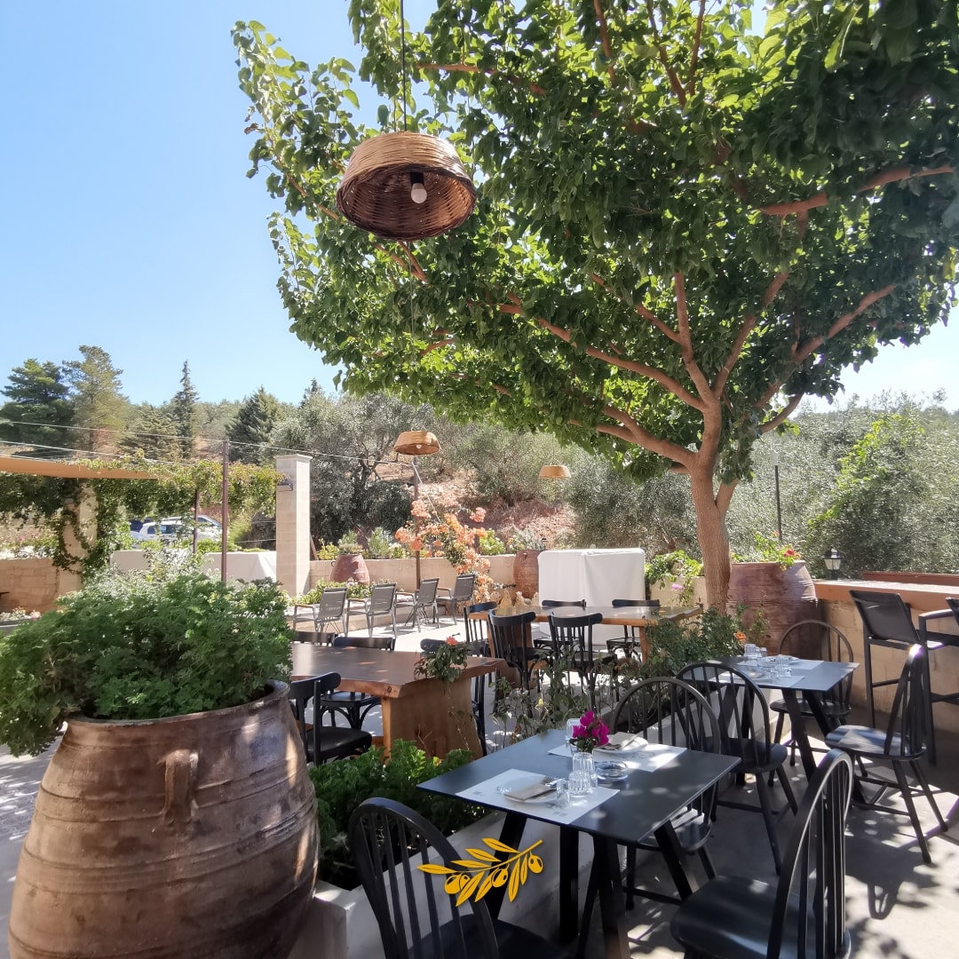 Eleas Thea: Where tradition meets modernity - Discover Crete