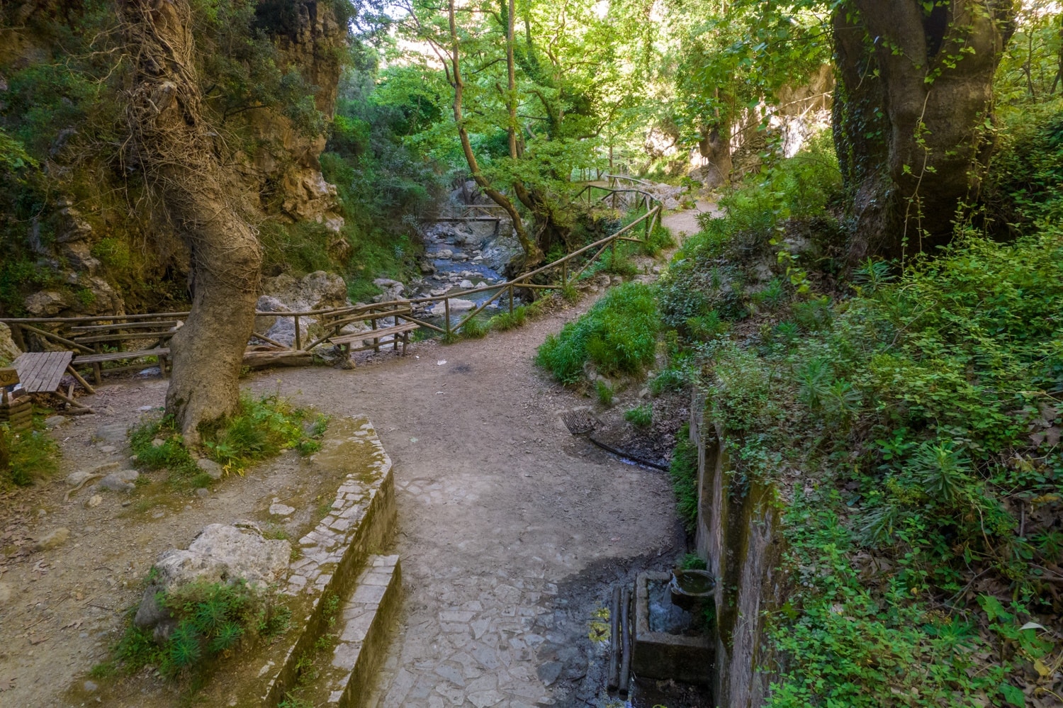 Το υπέροχο φαράγγι της Πατσού - Discover Crete