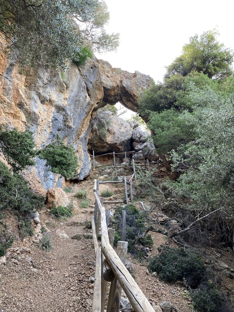 Platania Gorge - Discover Crete