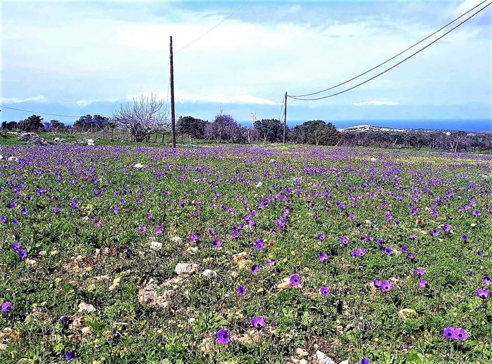 Kastrí: The Capital of Gavdos! - Discover Crete