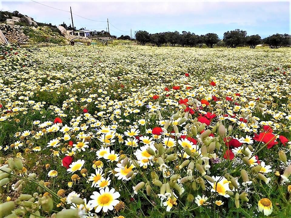 Kastrí: The Capital of Gavdos! - Discover Crete