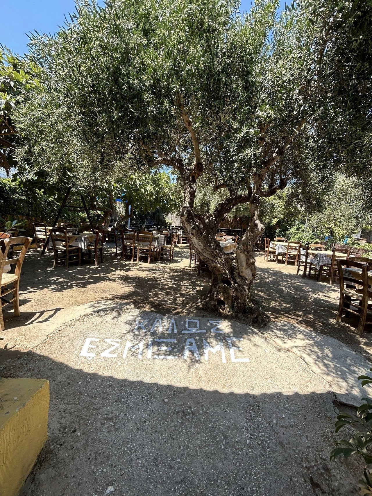 Taverna Katerina: A genuine village gem with homemade comfort food ...