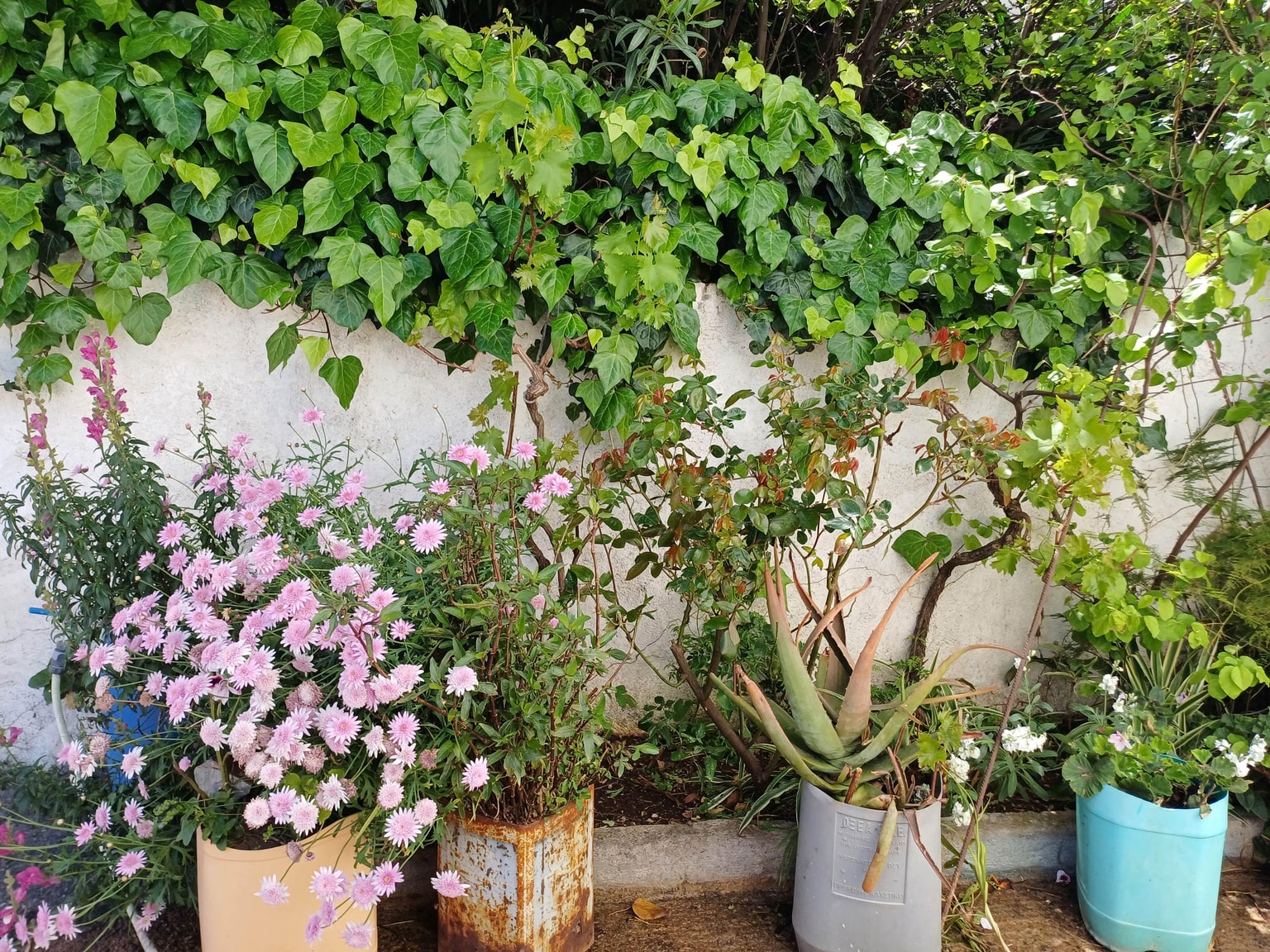 Mochos: A Unique Musical Tradition - Discover Crete