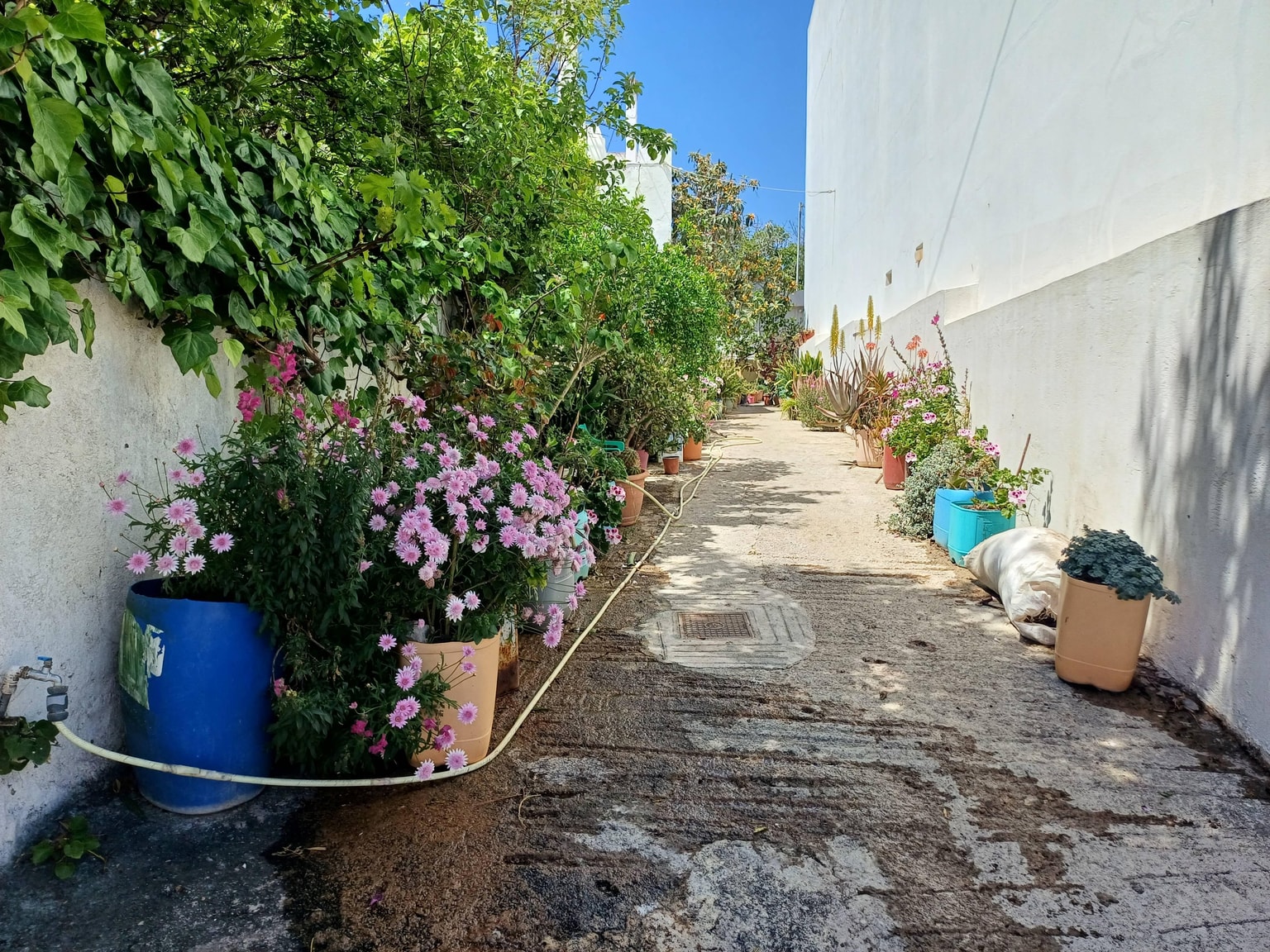 Mochos: A Unique Musical Tradition - Discover Crete