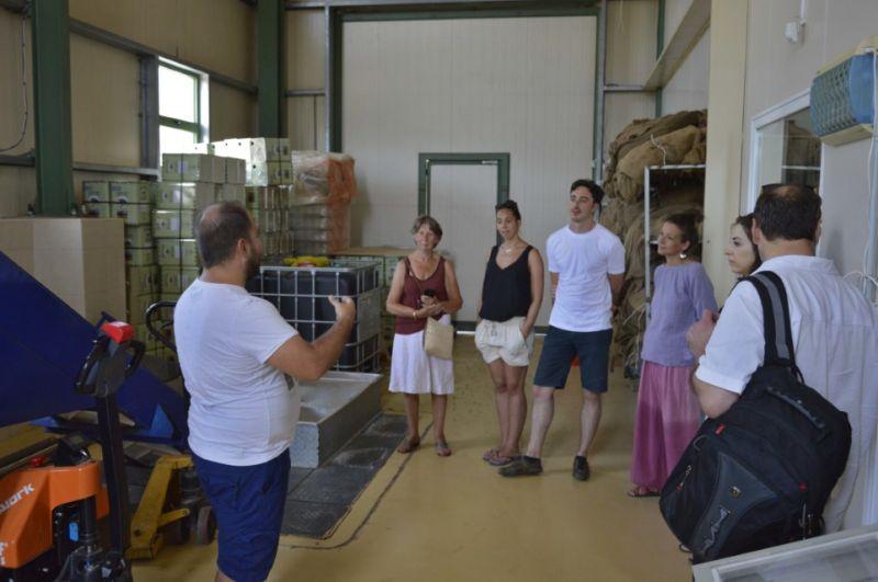 Vamos village: Τhe olive oil path - Discover Crete