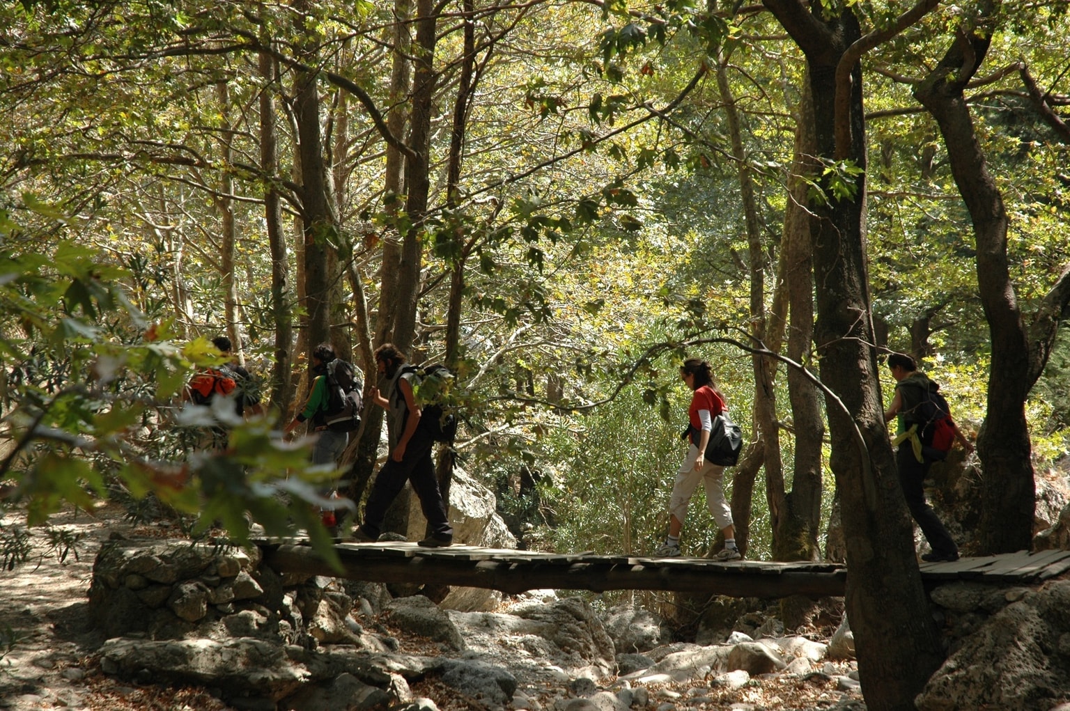 Pastrikos Gorge - Discover Crete